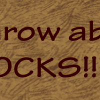 Throwable rocks - Game Modifications - Klei Entertainment Forums