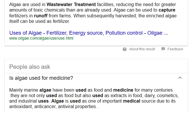 Algae PNG