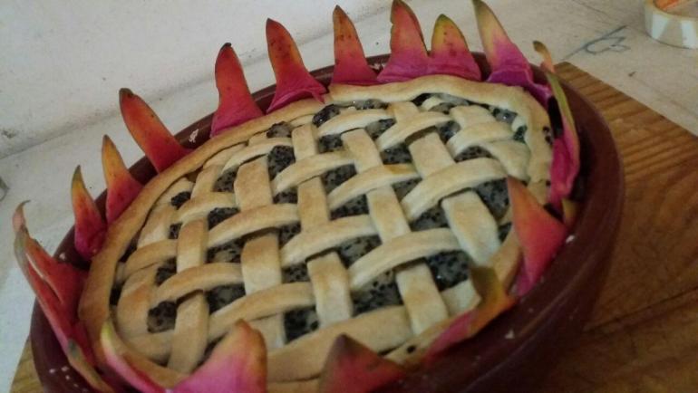 I MADE A PRETTY DRAGONPIE!! - [Don't Starve] Art, Music & Lore - Klei ...