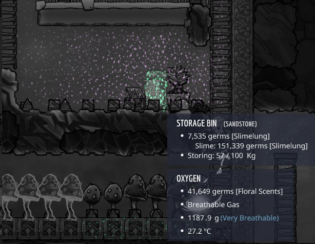 Any reason why I should replant the spore flower in the future ...