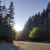 I made a DST poster/wallpaper with all the items in the game! - [Don't ...