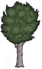 An actual Poison Birchnut Tree - [Don't Starve Together] General ...