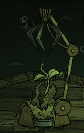 The missing potent of Knobbly Trees - [Don't Starve Together] Beta ...