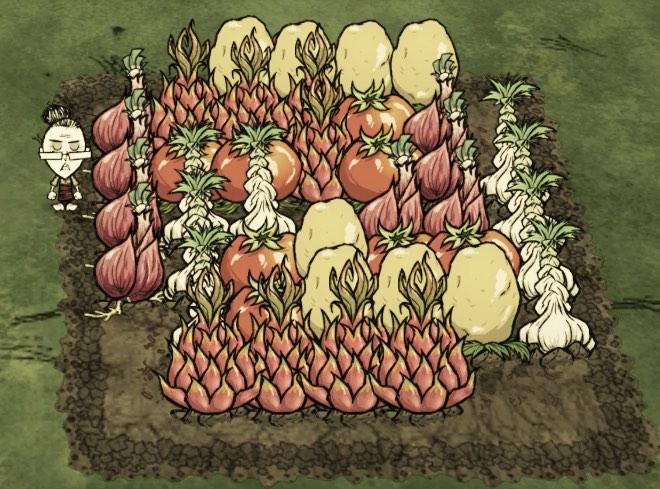 5 self-fertilizing crop combo, 1:1:1:1:1 ratio, all giant, 8x each ...