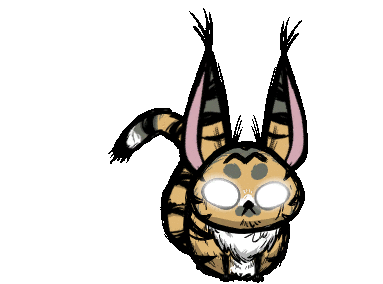 The Year of the Catcoon has arrived! - Page 3 - [Don't Starve Together ...