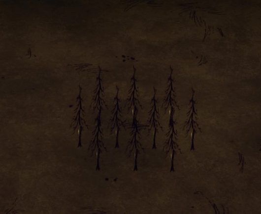 White smudges/leftover art on lune tree saplings/burnt small evergreens ...