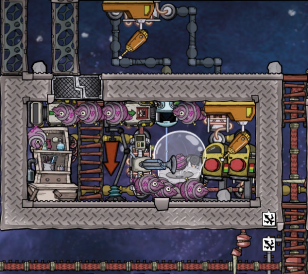 Shove Vole get stuck inside metal tiles - Oxygen Not Included - Klei ...