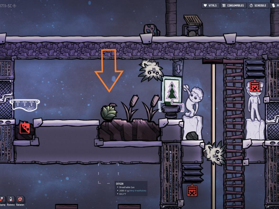 Pip Planting - [Oxygen Not Included] - General Discussion - Klei ...