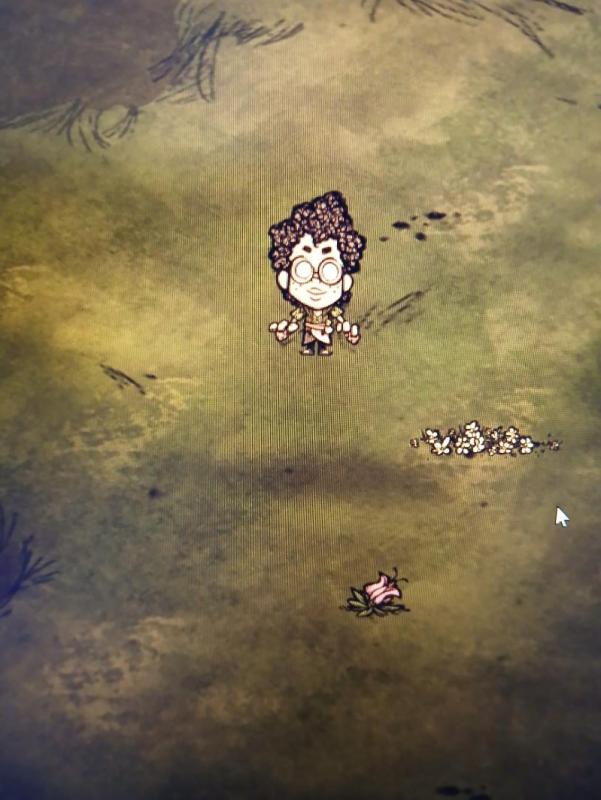 DST Update - Walter, Wendy & Wortox Skill Spotlight Now Live! - Page 4 ...